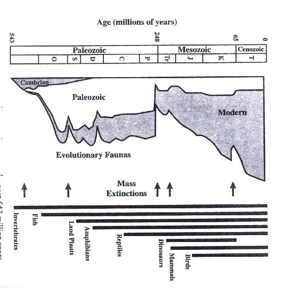 Plant Communities At The Santa Rosa Plateau